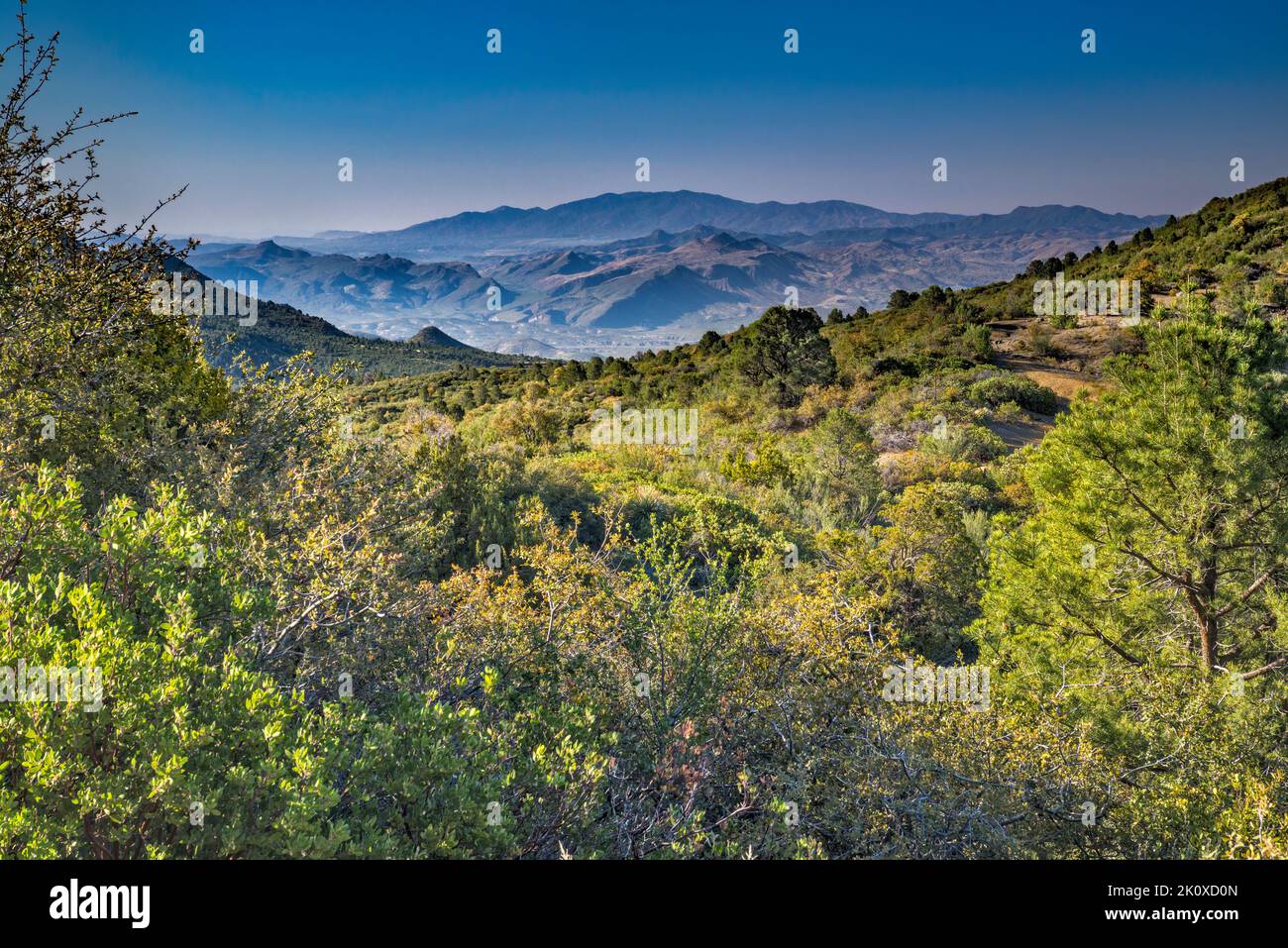 Sierra ancha mountains wilderness area hi-res stock photography and ...