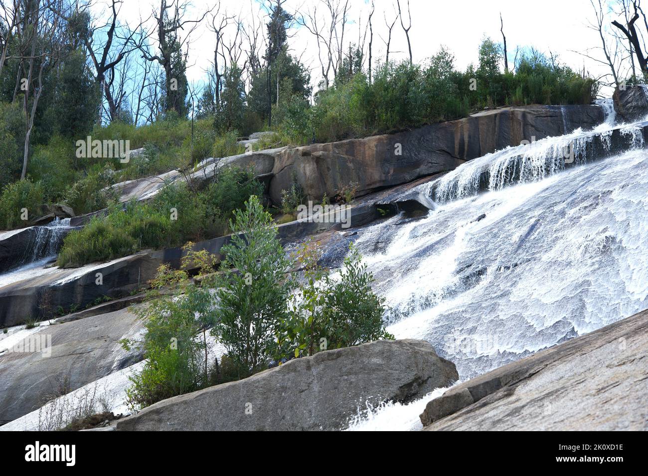 Wilhelmina Falls are a tough hike from the Murrindindi Scenic Reserve ...