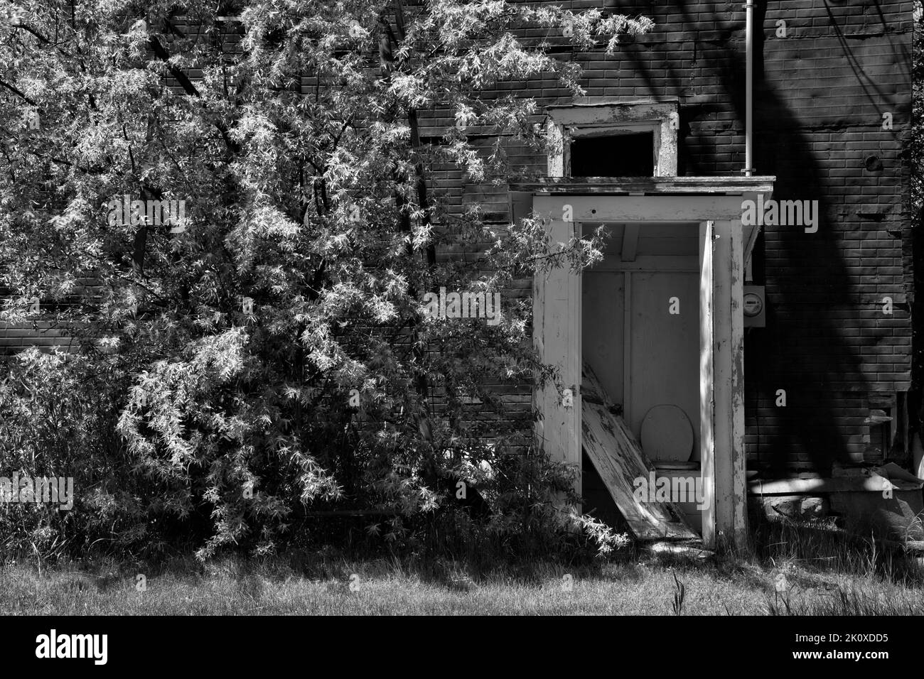 USA, Great Plains, North Dakota,Ghost Town, outhouse Stock Photo - Alamy