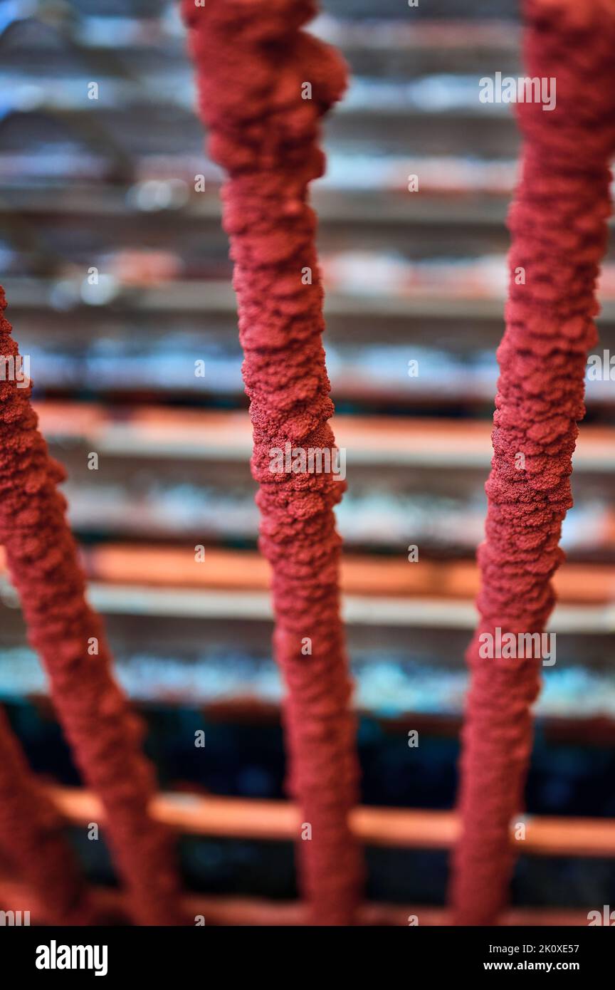 Copper powder overgrowth on cathode in electrolytic workshop Stock ...