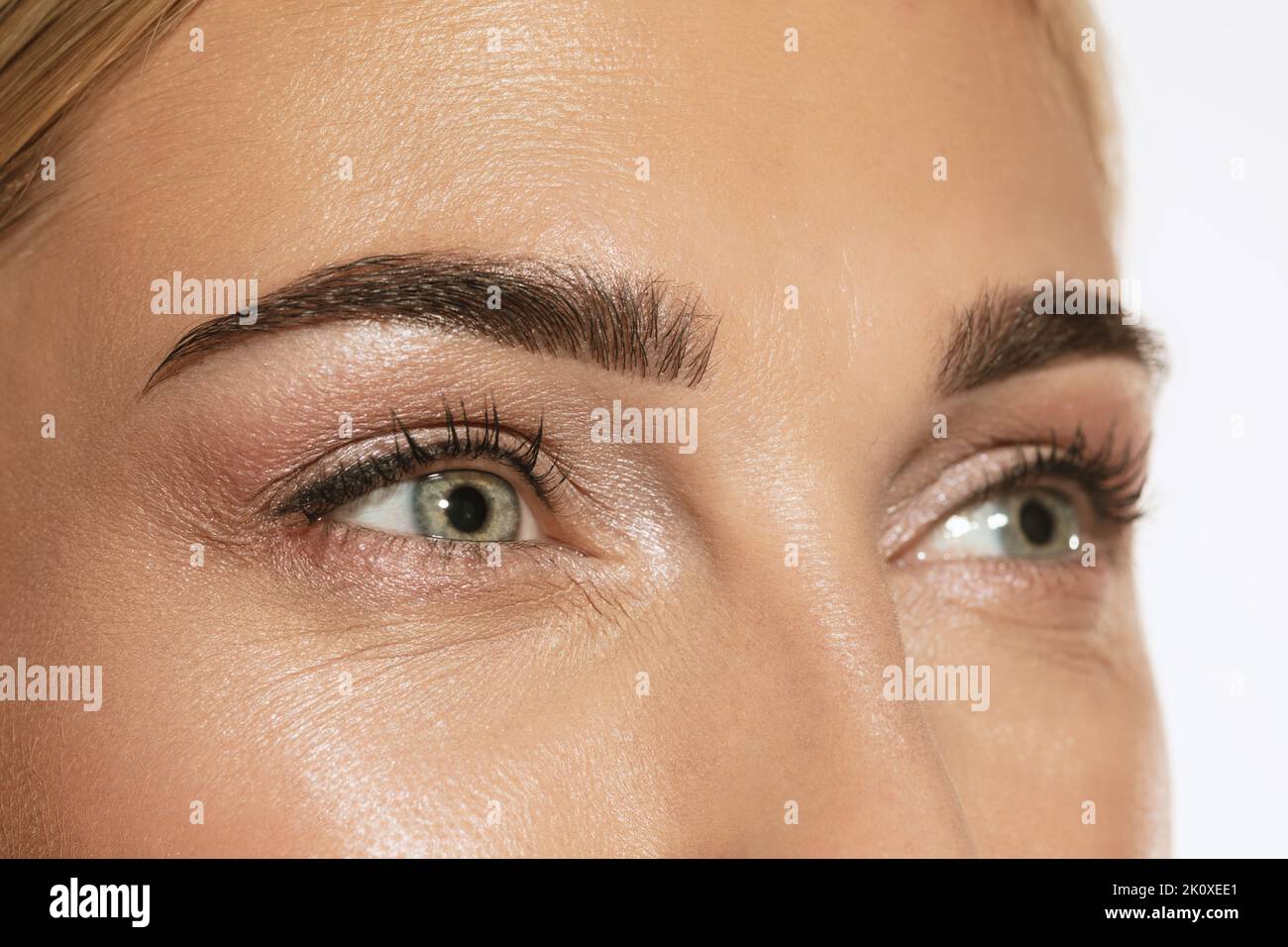 Green eyes and perfect shapes of eyebrows. Closeup portrait of ...