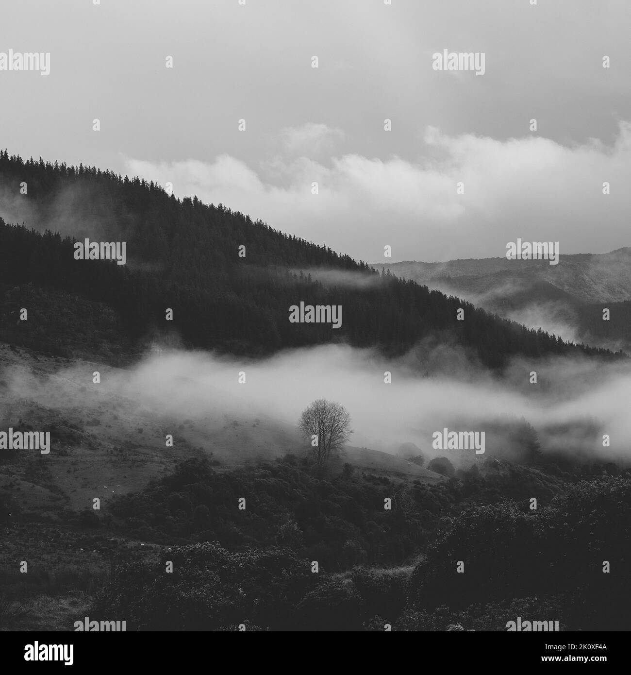 Aerial view foggy morning Black and White Stock Photos & Images - Alamy