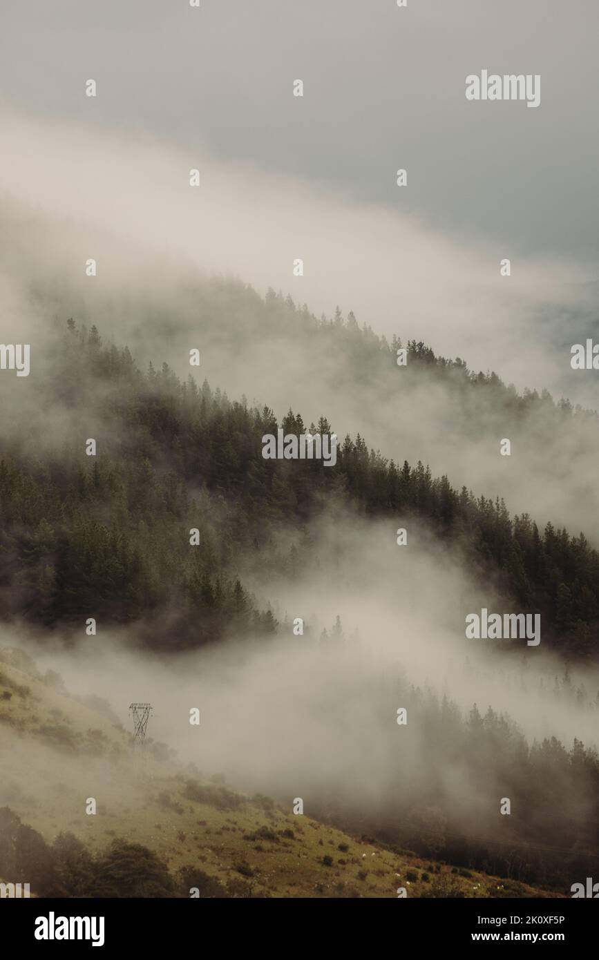 Fog backdrop hi-res stock photography and images - Alamy