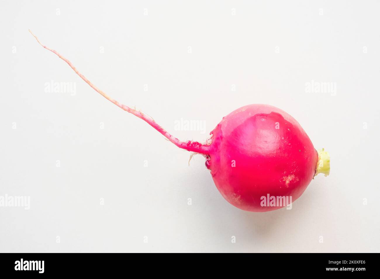 Red radish on a light grey background Stock Photo - Alamy