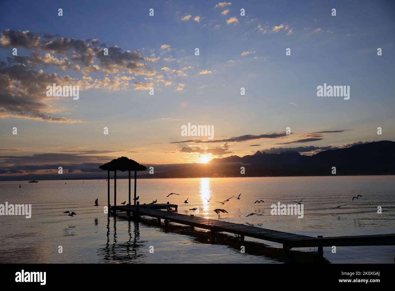 Jetty on the lake at sunrise Stock Photo - Alamy