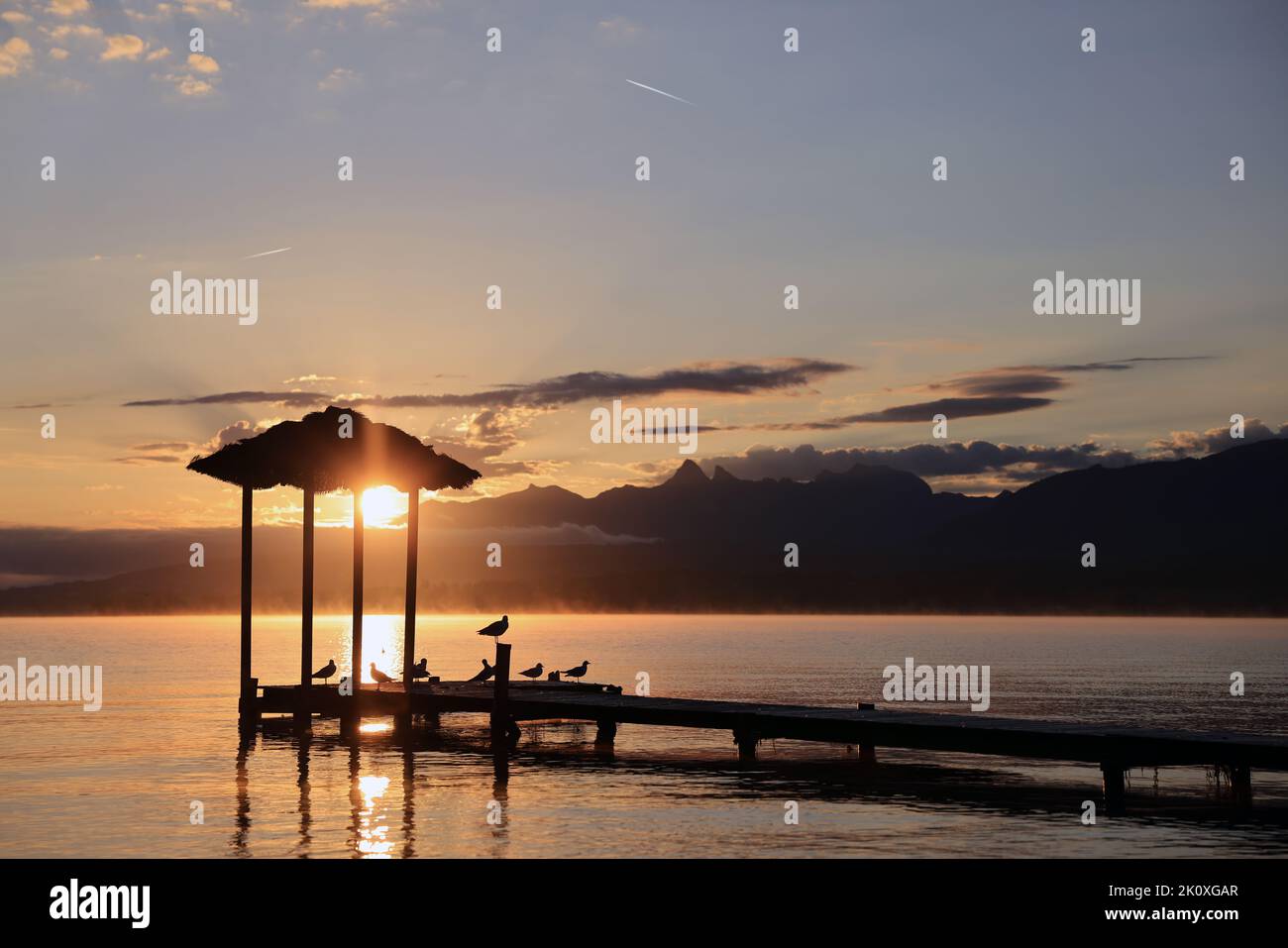 Jetty on the lake at sunrise Stock Photo - Alamy
