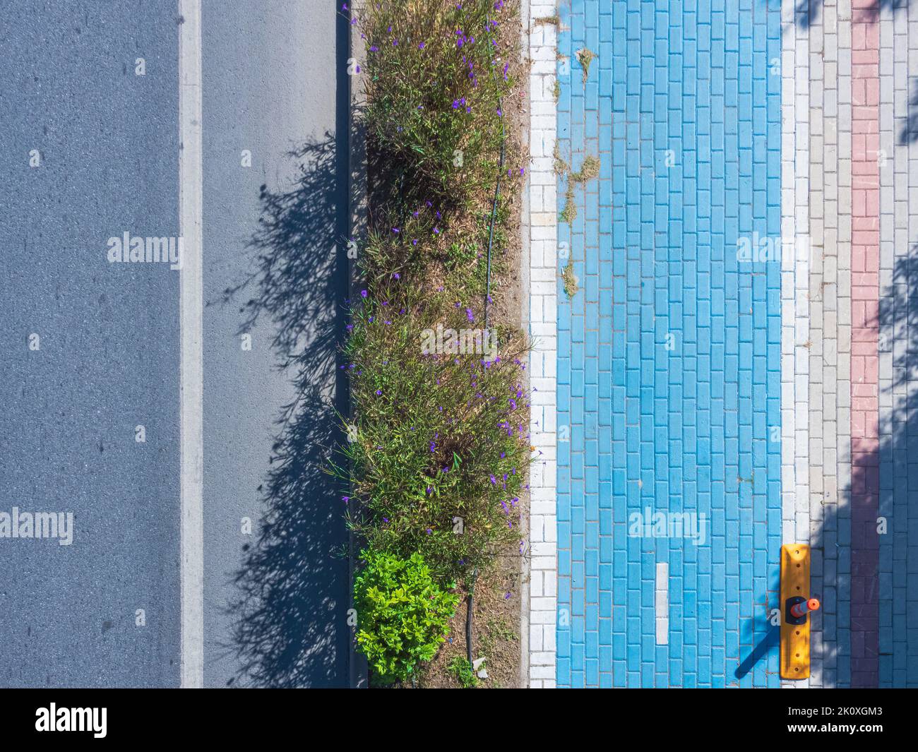 A blue cycle path separated from the road by a strip of bushes Stock ...
