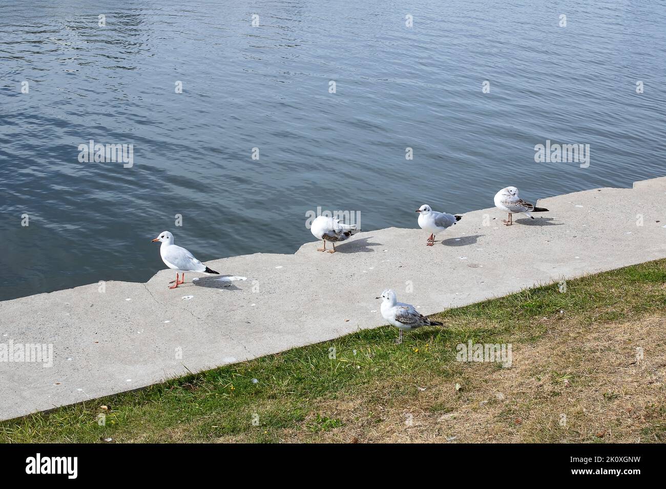 Concrete parapet hi-res stock photography and images - Alamy