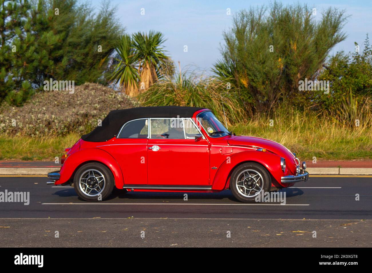 Multi Colored Punch Buggy