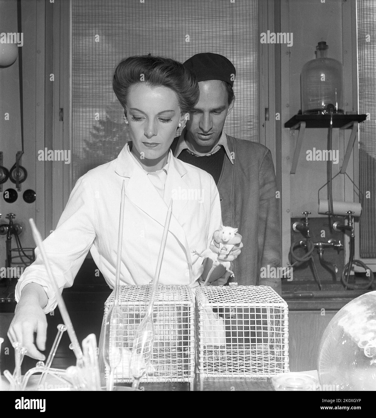 Ingmar Bergman. 1918-2007. Swedish film director. Pictured here 1950 on ...