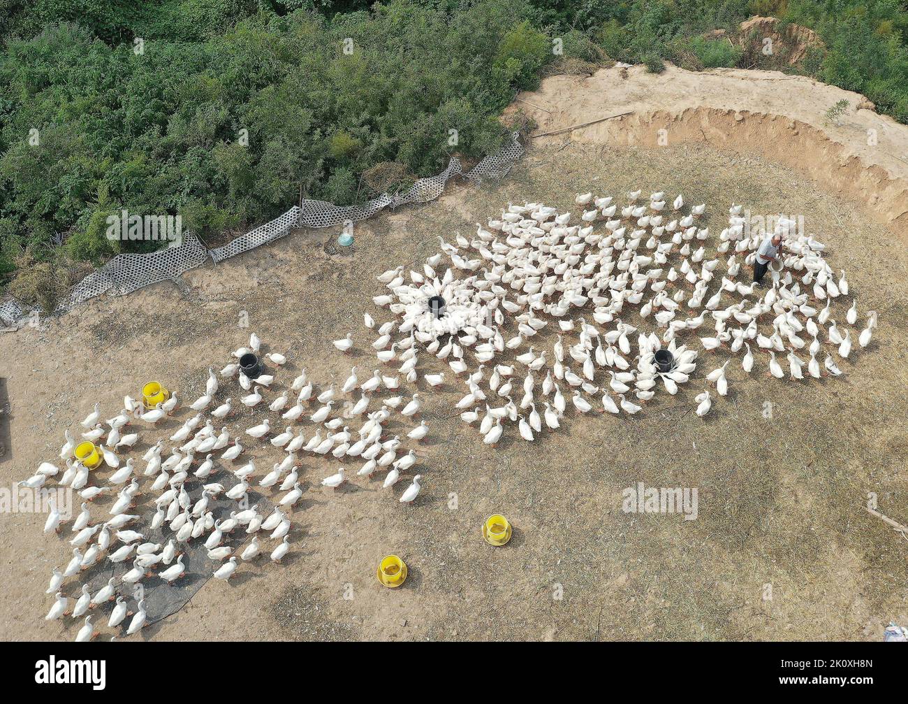 HANDAN, CHINA - SEPTEMBER 14, 2022 - Aerial photo shows villagers ...