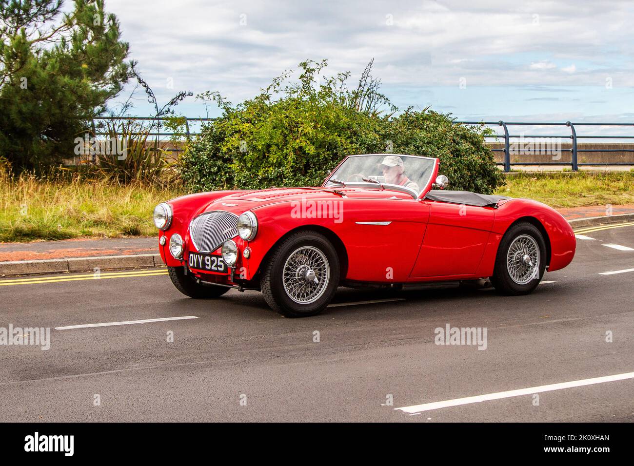 1954 50s fifties AUSTIN HEALEY 2660cc petrol Roadster; on display at ...