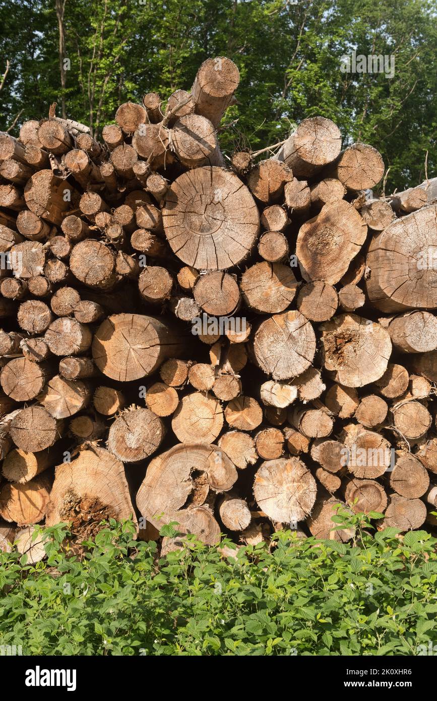 Pile of raw material hi-res stock photography and images - Alamy