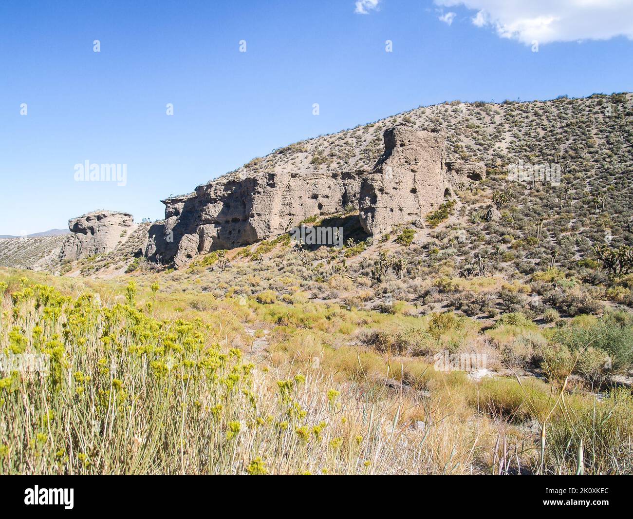 Nevada mojave desert vegetation hi-res stock photography and images - Alamy