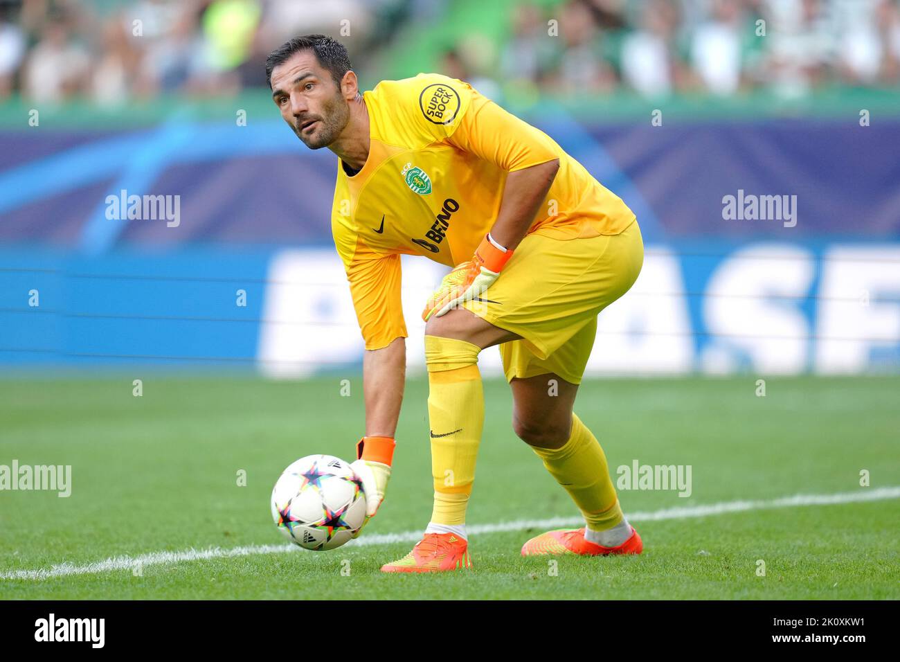 Antonio adán 2022 hi-res stock photography and images - Alamy
