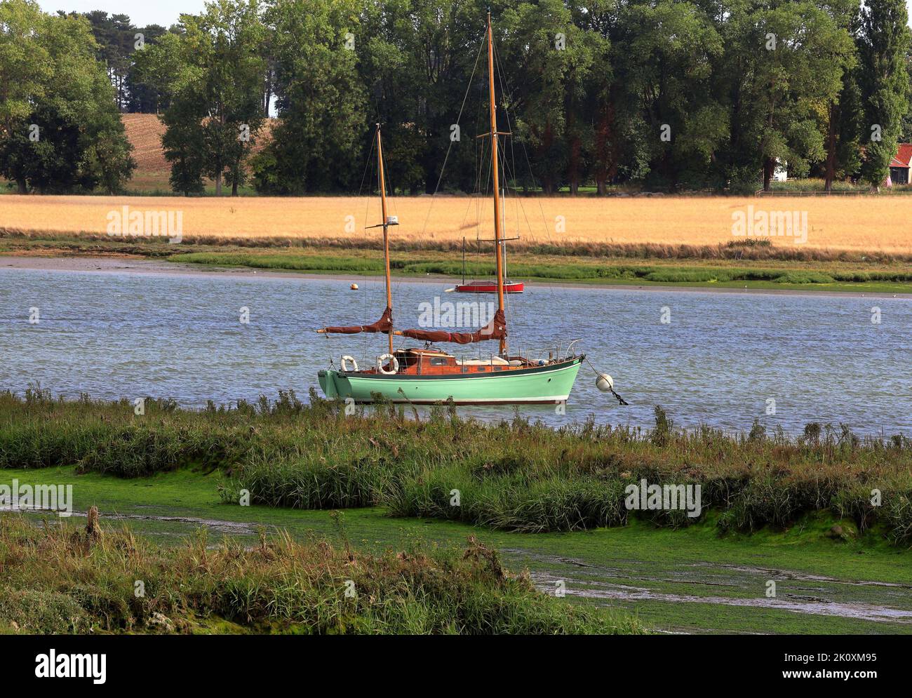 Algae mudflats hi-res stock photography and images - Alamy