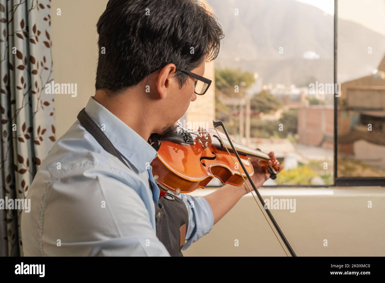 Violin in profile hi-res stock photography and images - Alamy