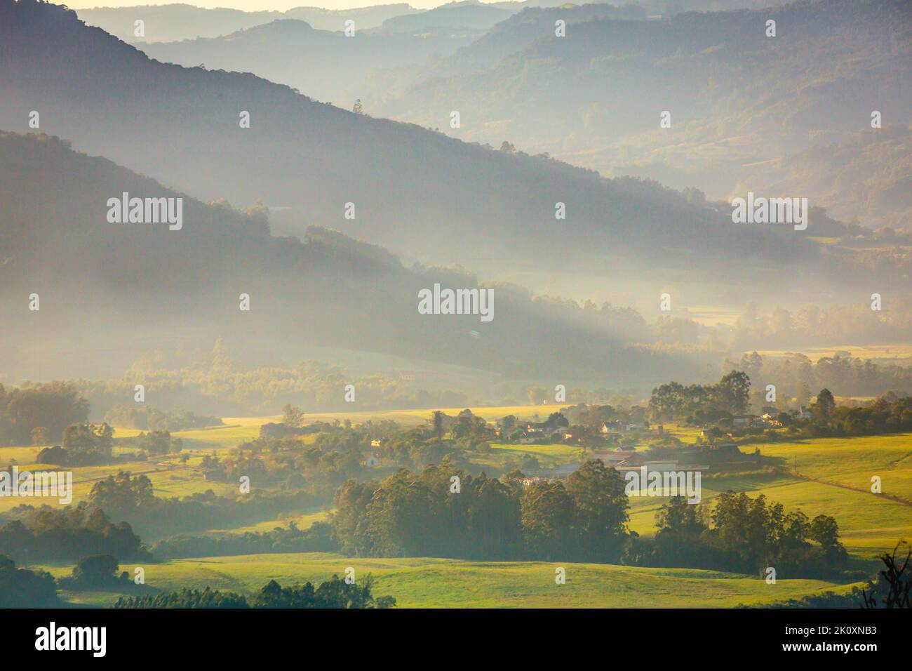 Paradise landscape green meadows pine hi-res stock photography and ...