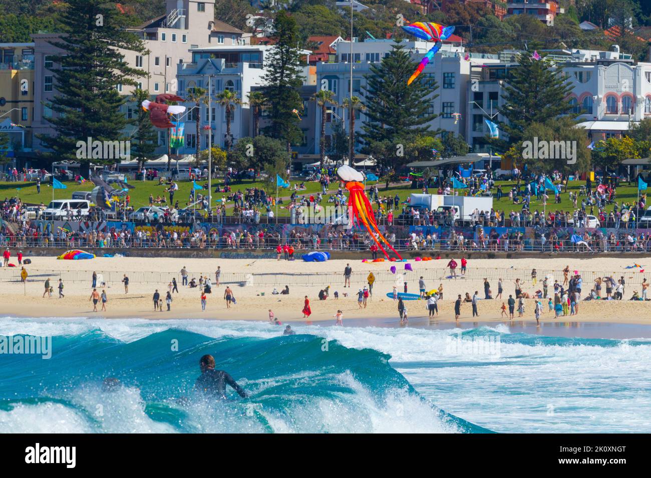 Best beaches sydney hi-res stock photography and images - Alamy