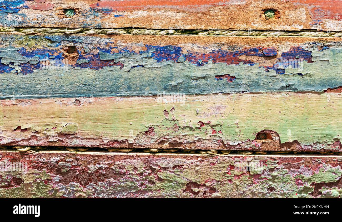 A Coastal Weathered wood Texture with multi coloured peeling paint, revealing the old wood ...