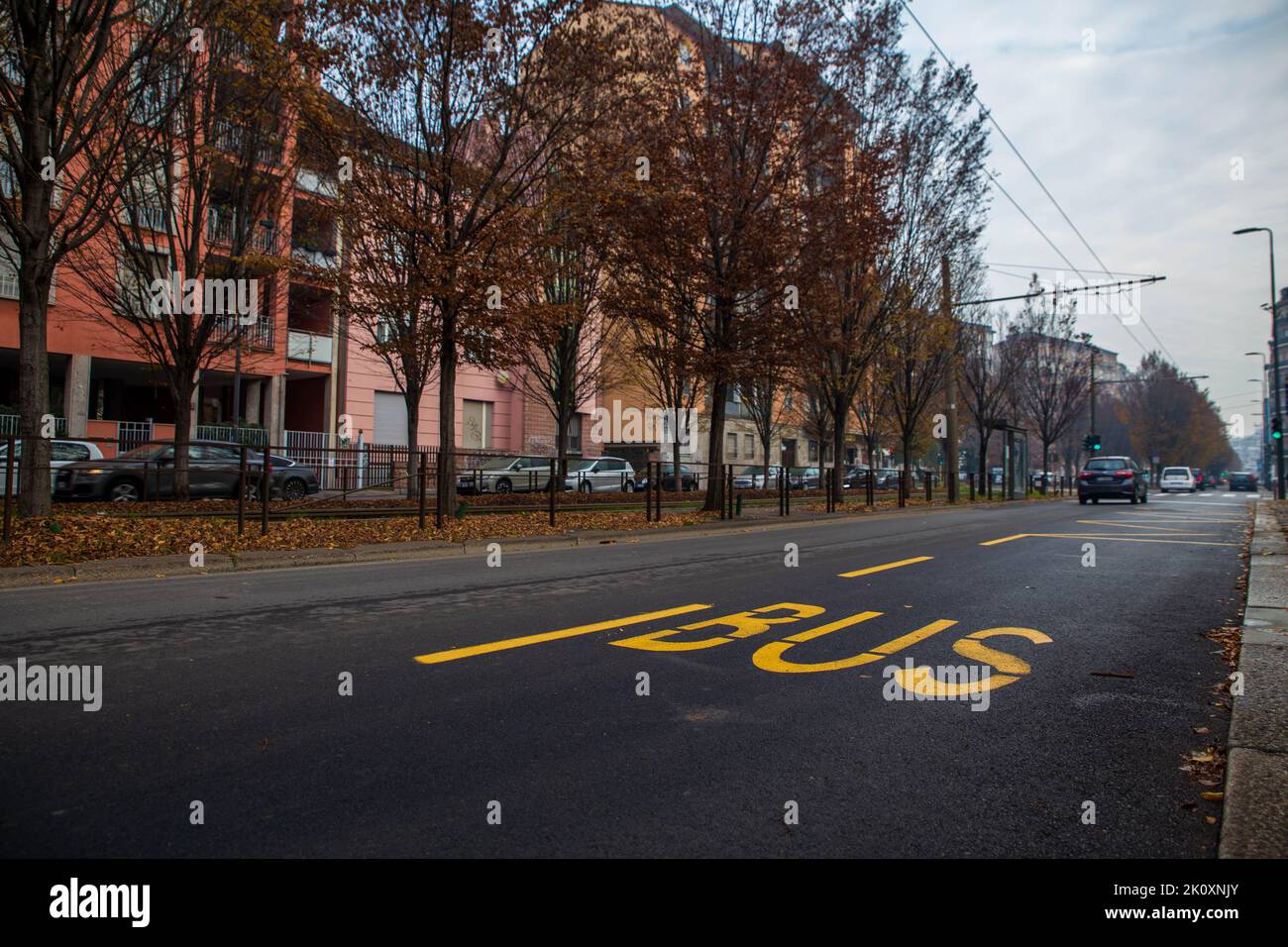 An asphalt road with a BUS text in a city in rainy weather in Milan ...