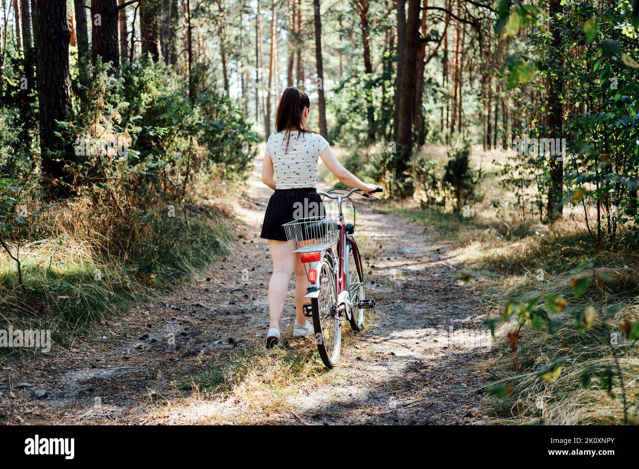 Mental health benefits of cycling, reduce anxiety. Cycling in forest. Forest Bycycle Trails ...