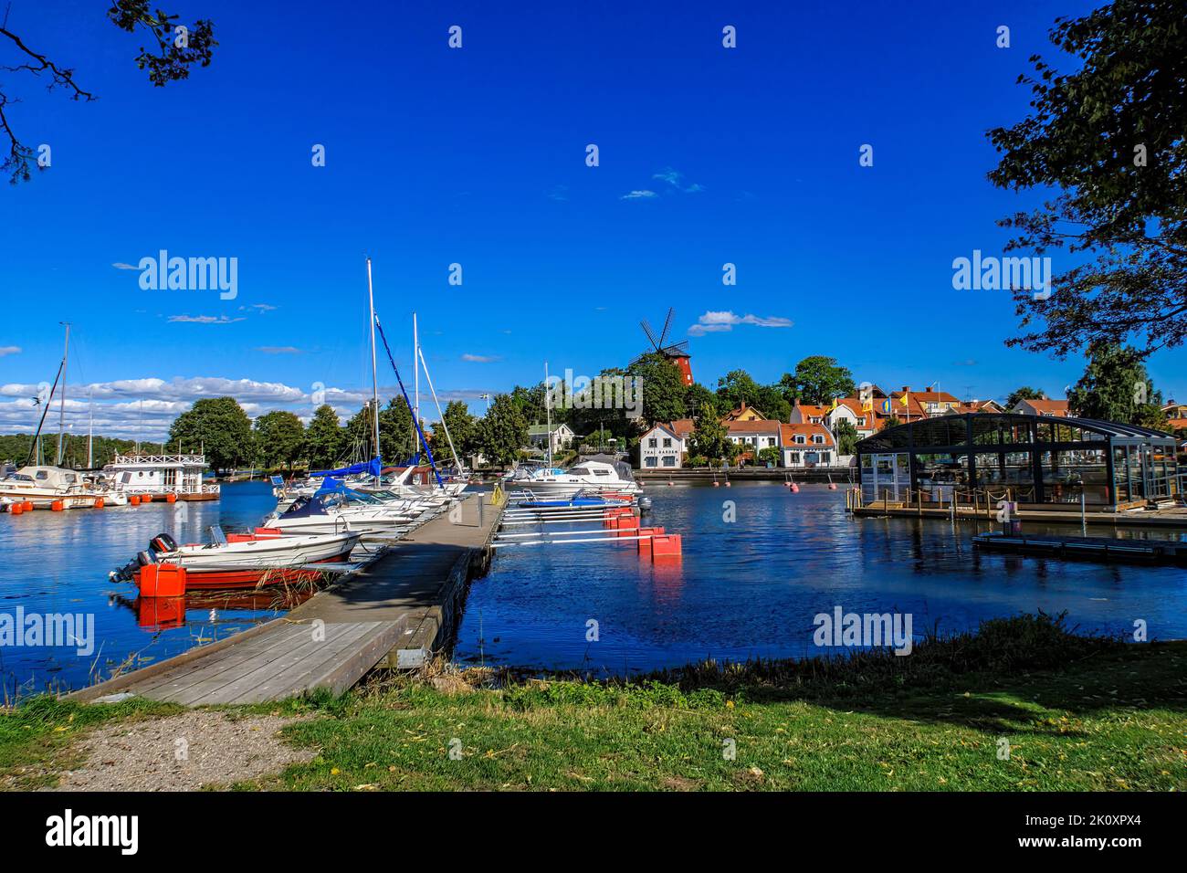 Summer is on the rise Stock Photo - Alamy
