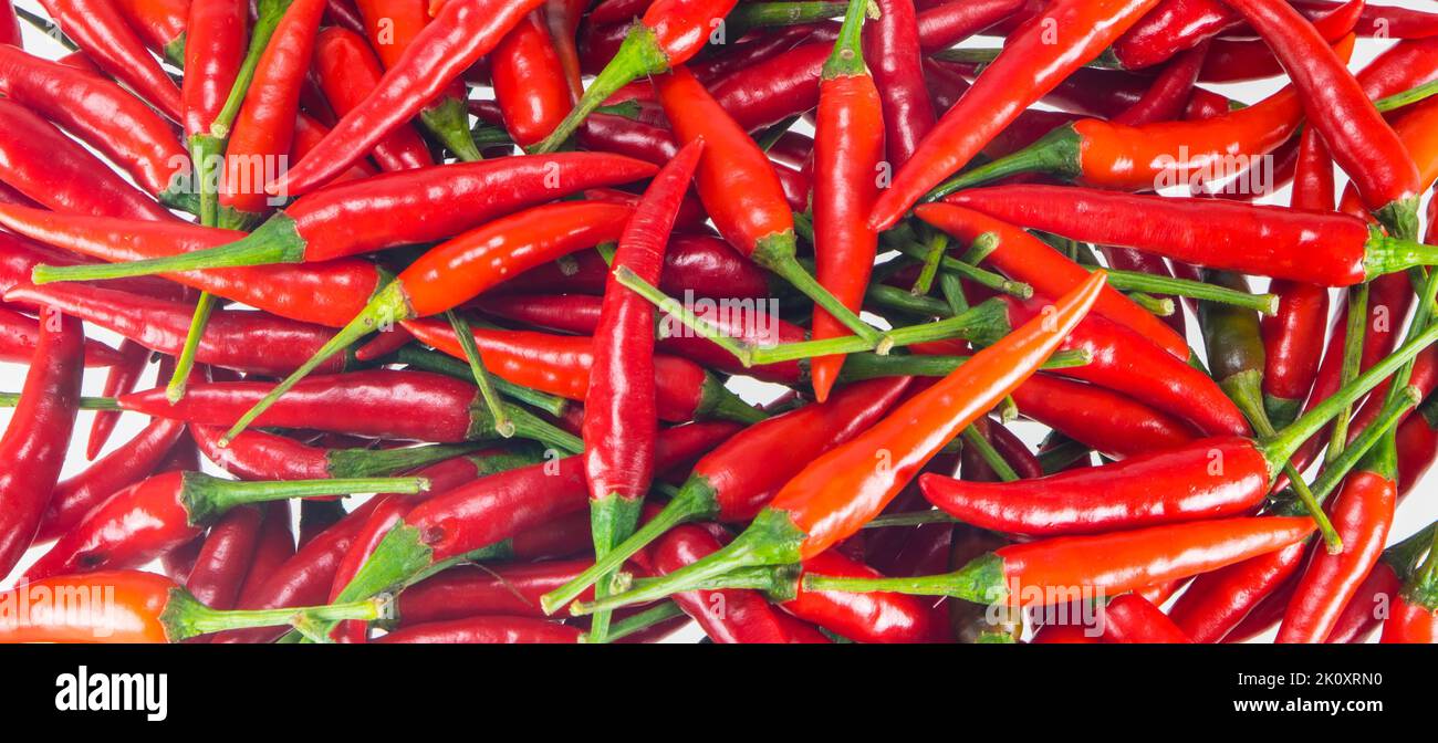 Chilli farming hi-res stock photography and images - Alamy