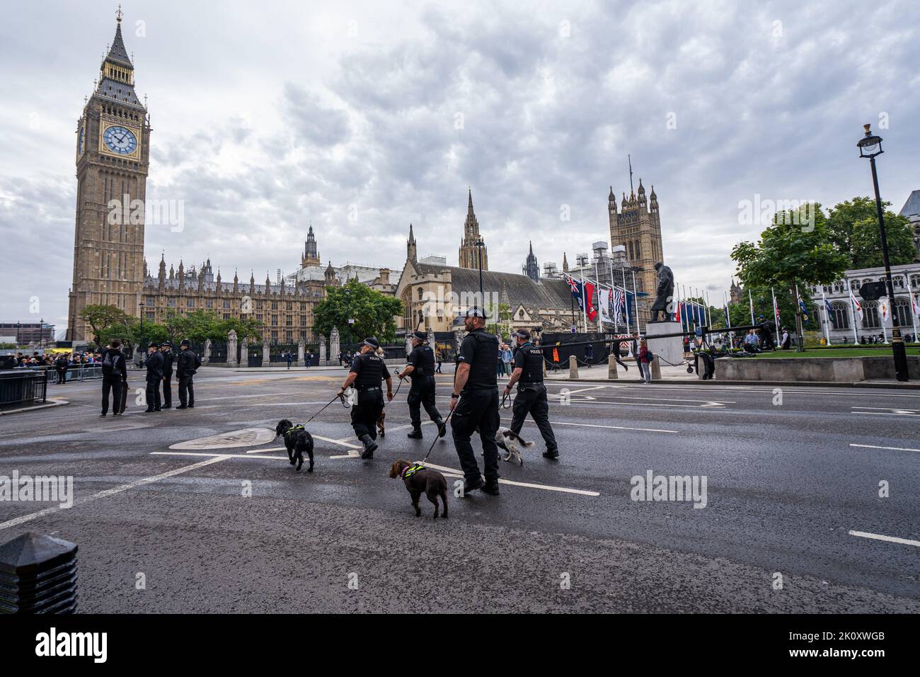 British police with sniffer dogs hi-res stock photography and images ...