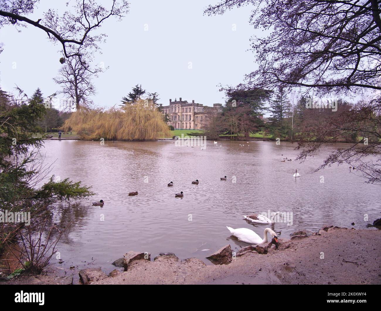 Developed using darktable 2.4.2 Stock Photo - Alamy