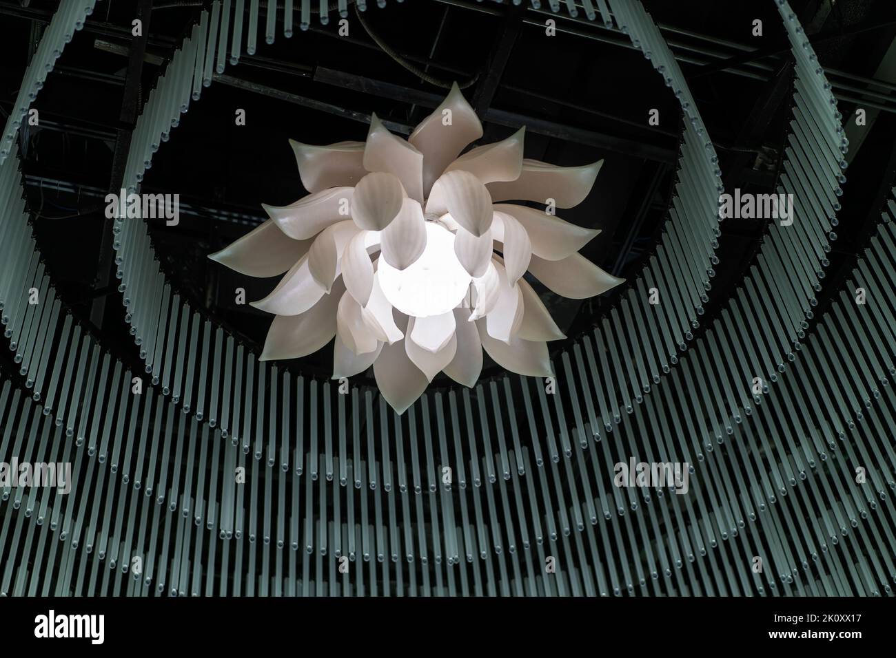 A beautiful white flower-shaped lamp hanging on a ceiling inside a ...
