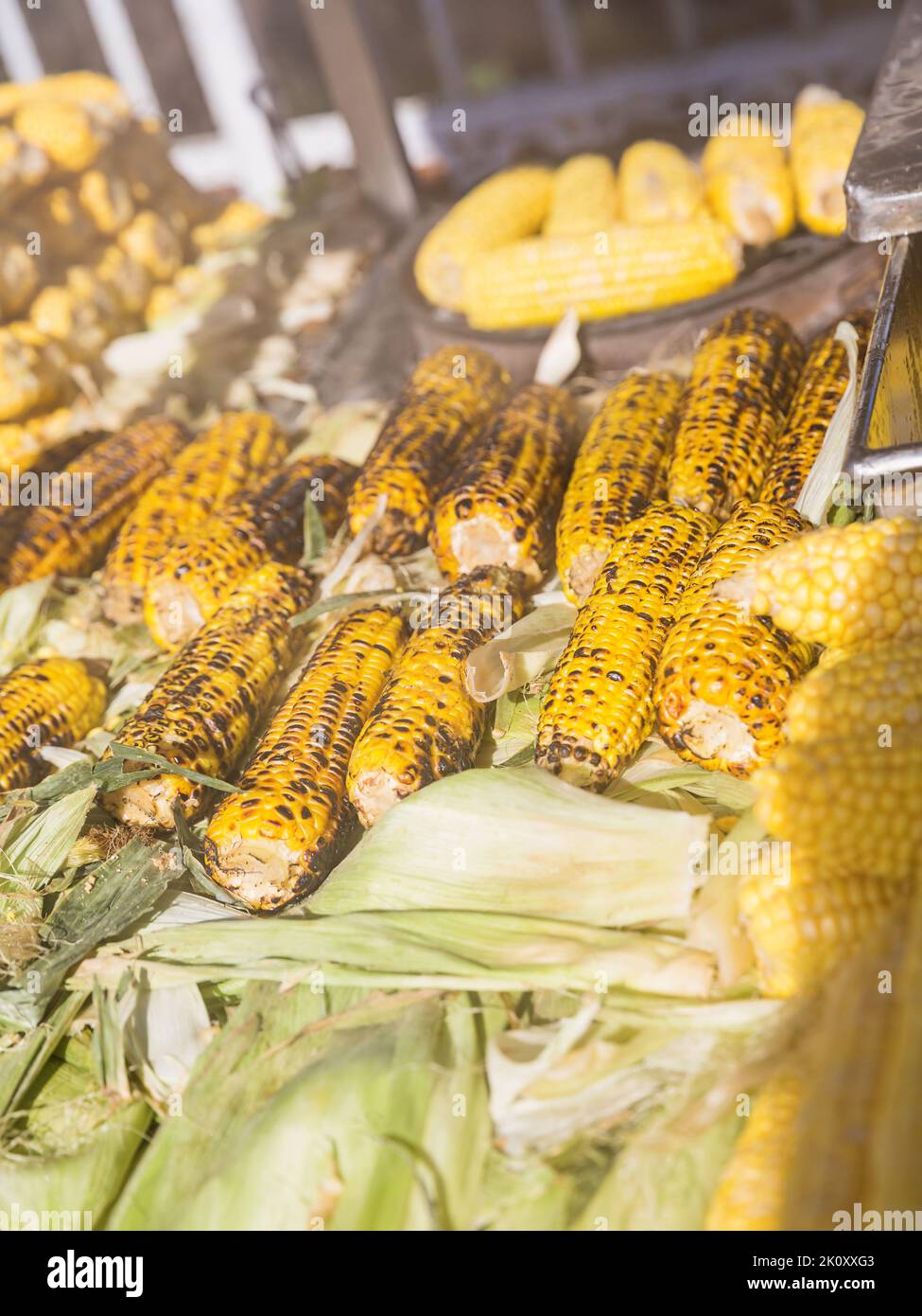 boiled and grilled sweet corn for sale on the street. Street fast food ...