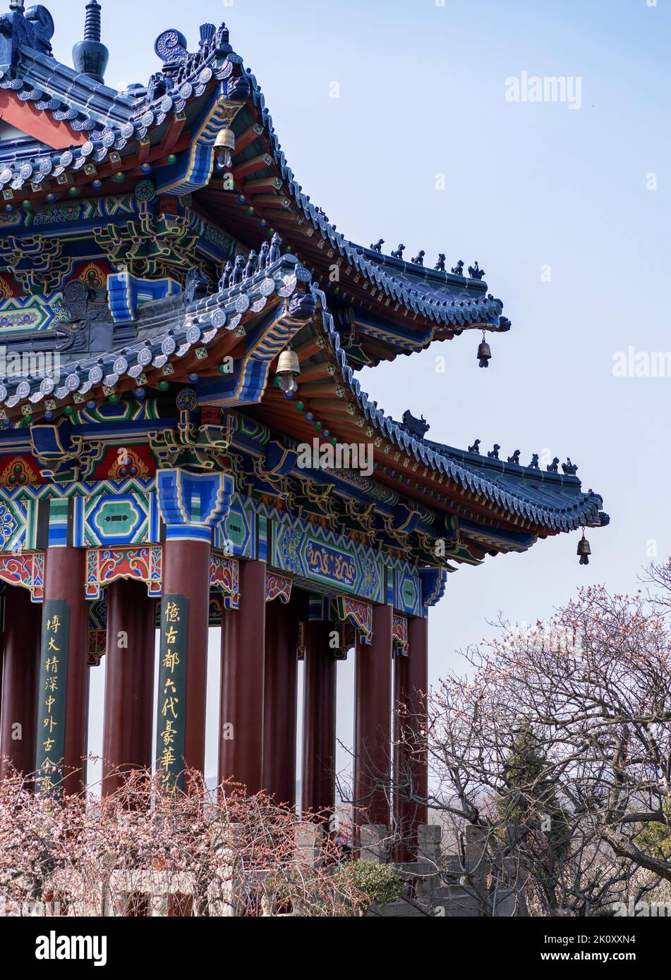 A vertical shot of a Chinese building with beautiful design in a park ...