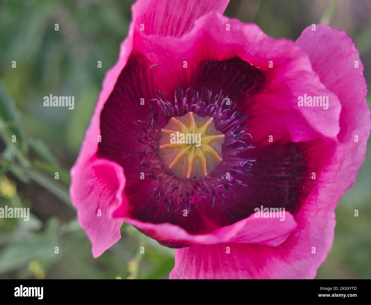 Developed using darktable 2.4.2 Stock Photo - Alamy