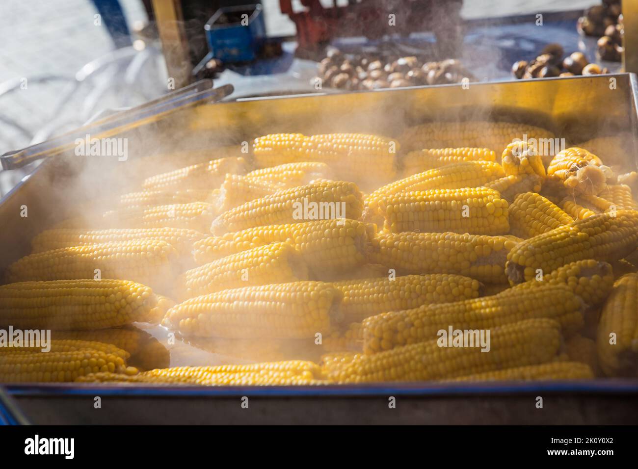 Street food boiled corn hi-res stock photography and images - Alamy