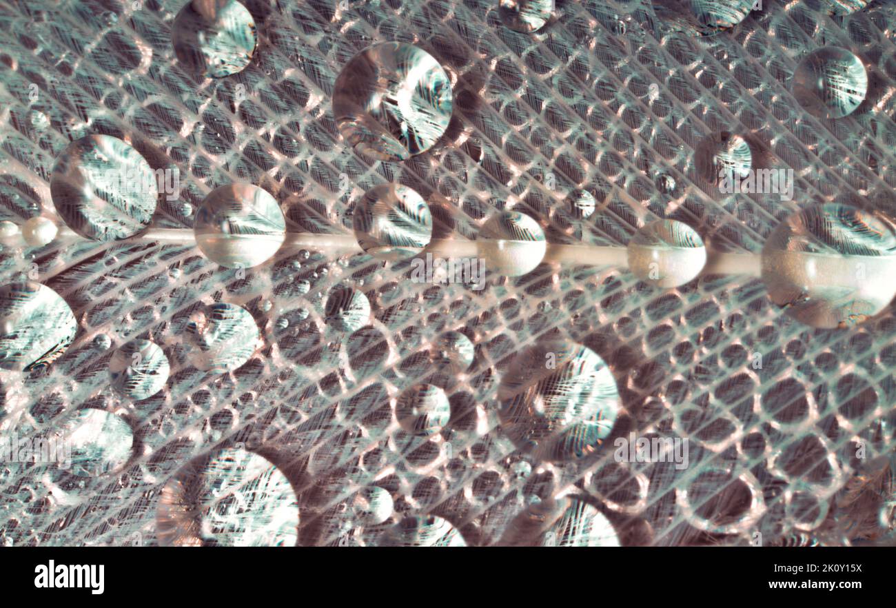 Pinna drops hi-res stock photography and images - Alamy