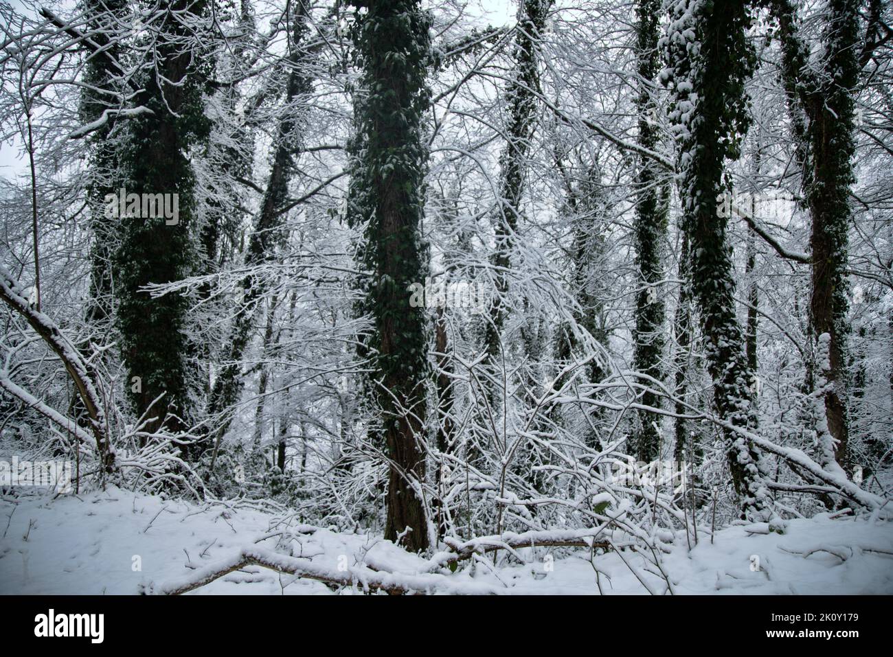 Climatic fluctuation hi-res stock photography and images - Alamy