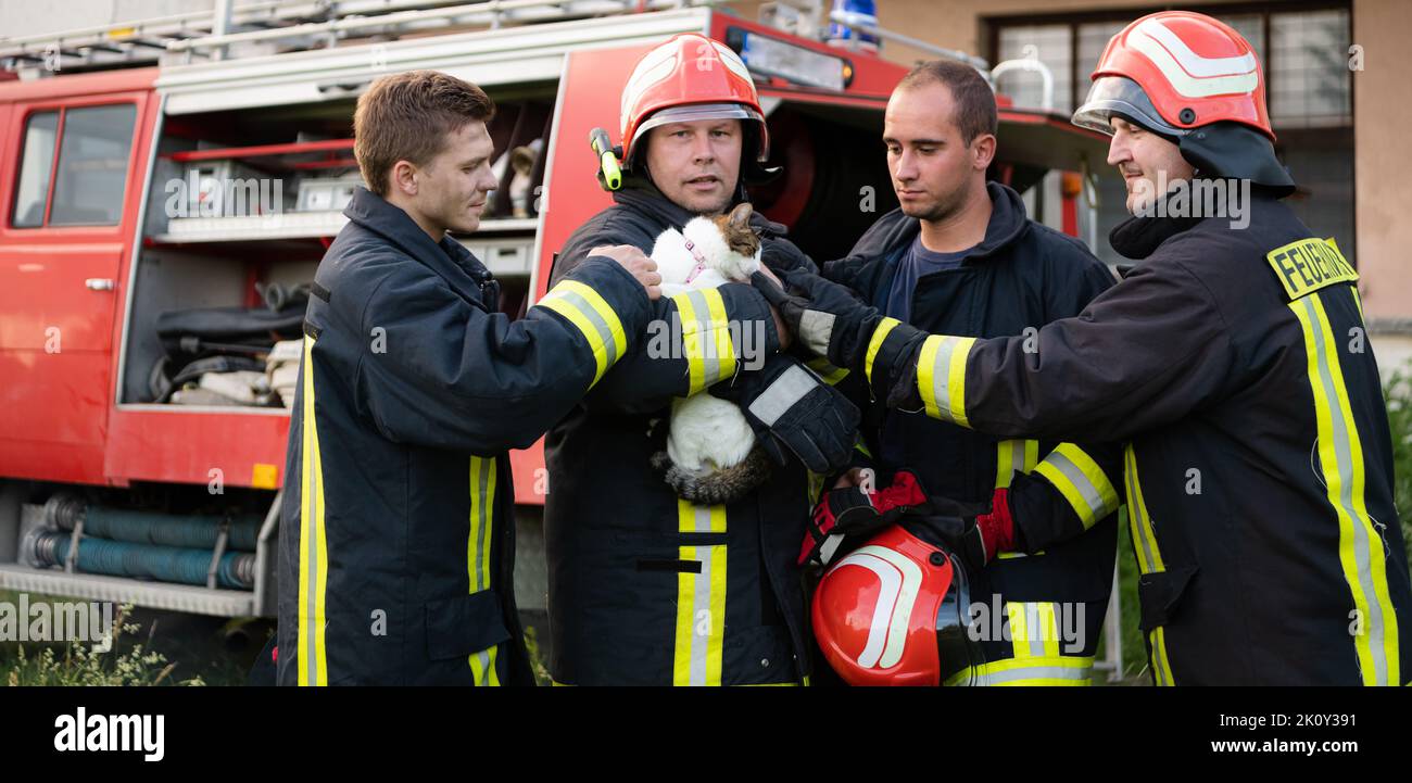 firefighters group in a protective suit and red helmet holds saved cat ...