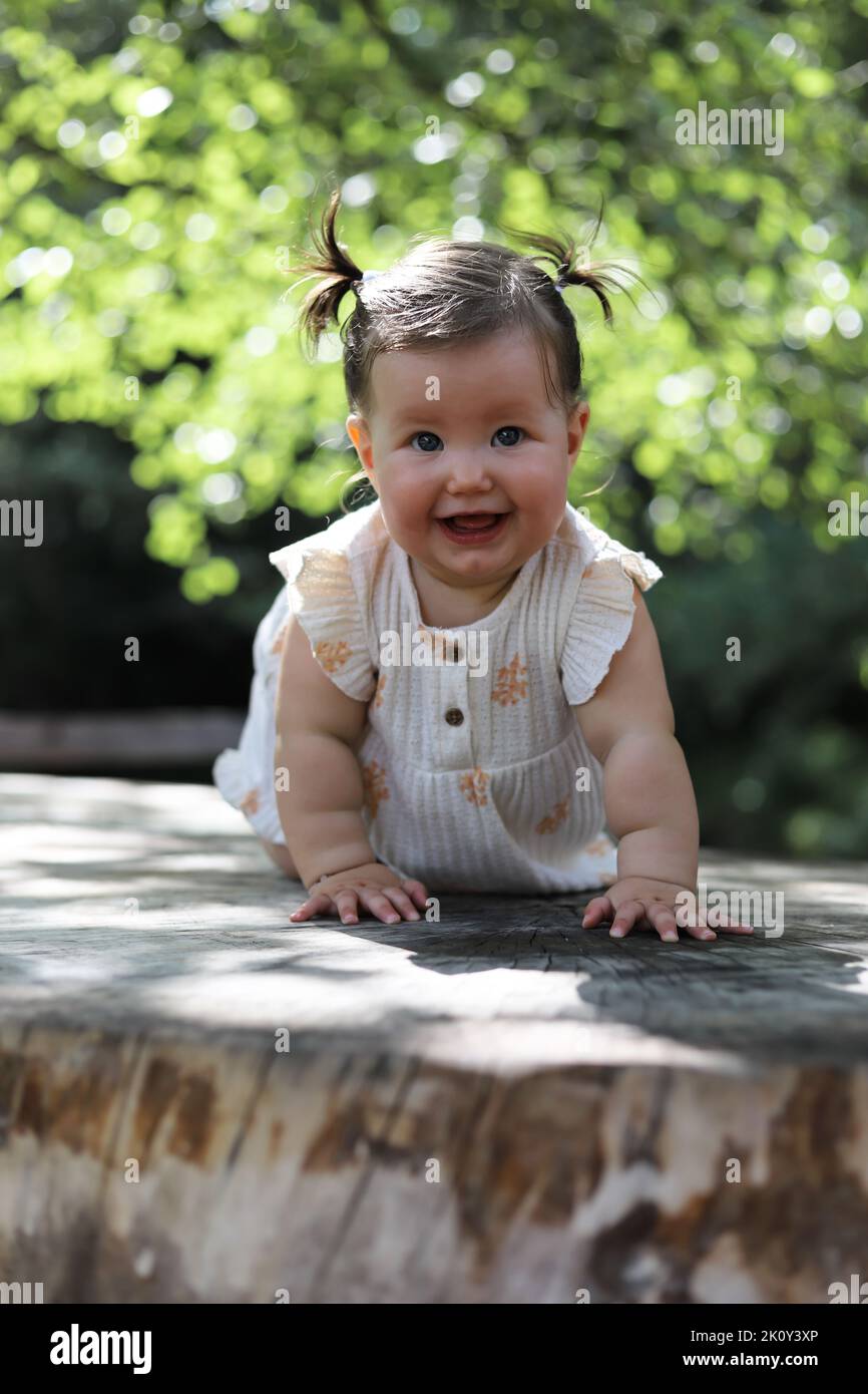 A shallow focus shot of a cute baby girl scrawling on the trunk with ...