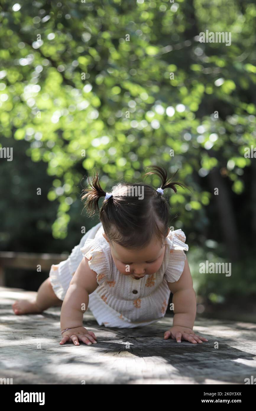 A shallow focus shot of a cute baby girl scrawling on the trunk with ...
