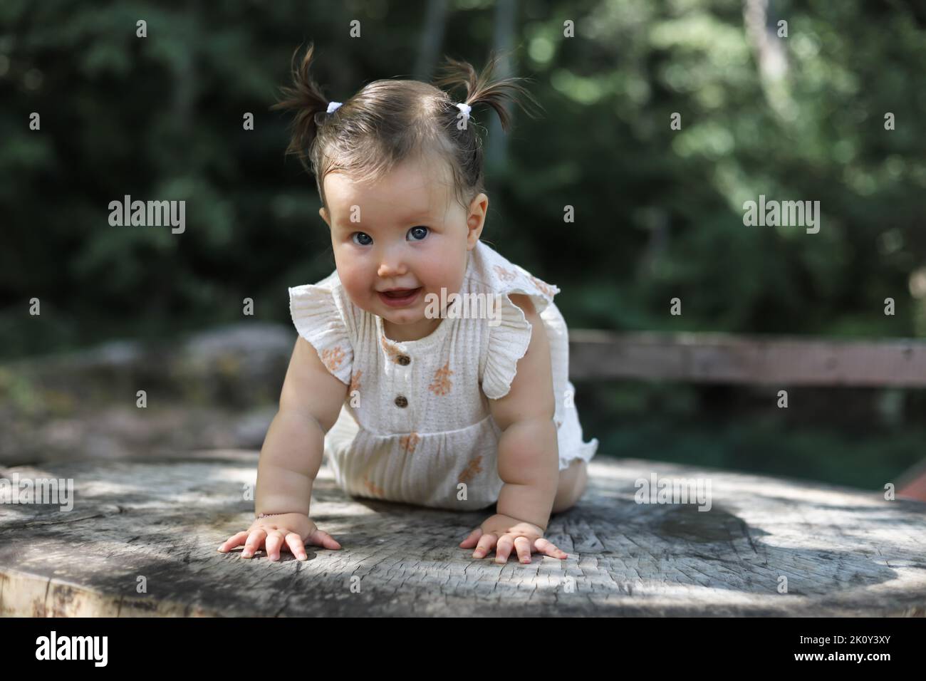 A shallow focus shot of a cute baby girl scrawling on the trunk with ...