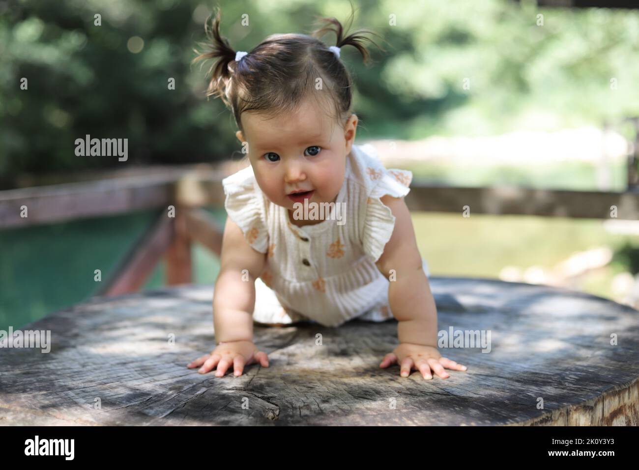 A shallow focus shot of a cute baby girl scrawling on the trunk with ...