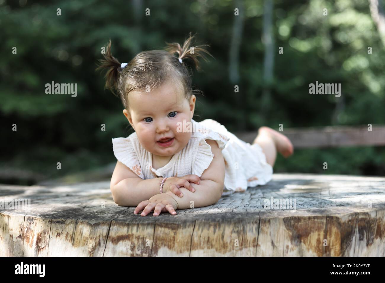 A shallow focus shot of a cute baby girl scrawling on the trunk with ...