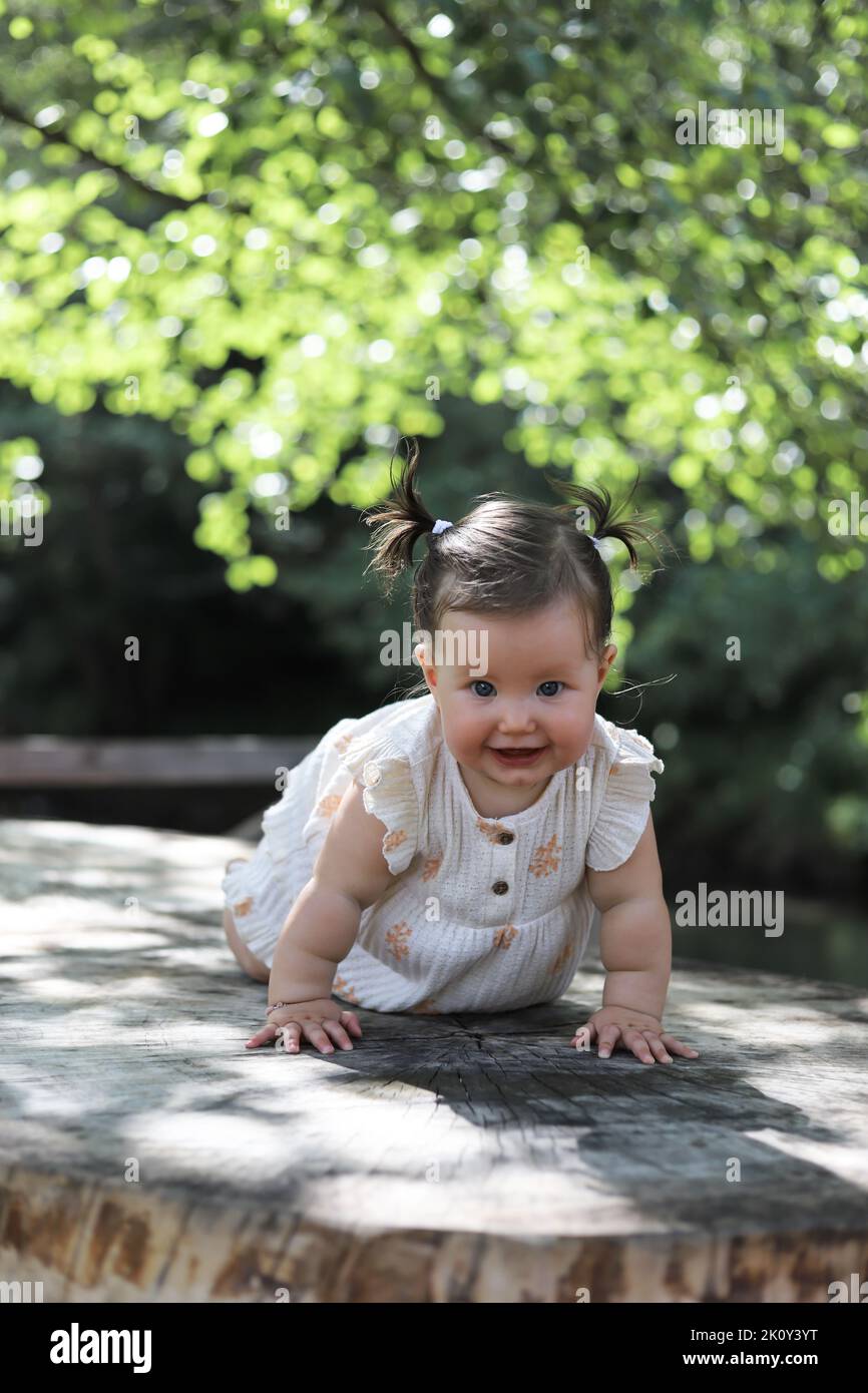 A shallow focus shot of a cute baby girl scrawling on the trunk with ...