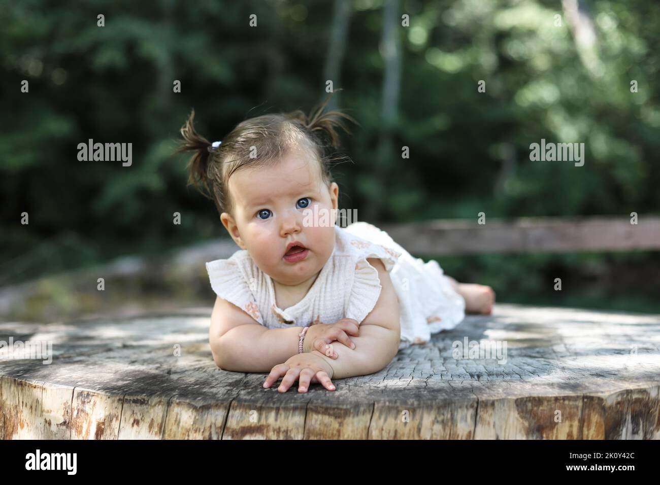 A shallow focus shot of a cute baby girl scrawling on the trunk with ...