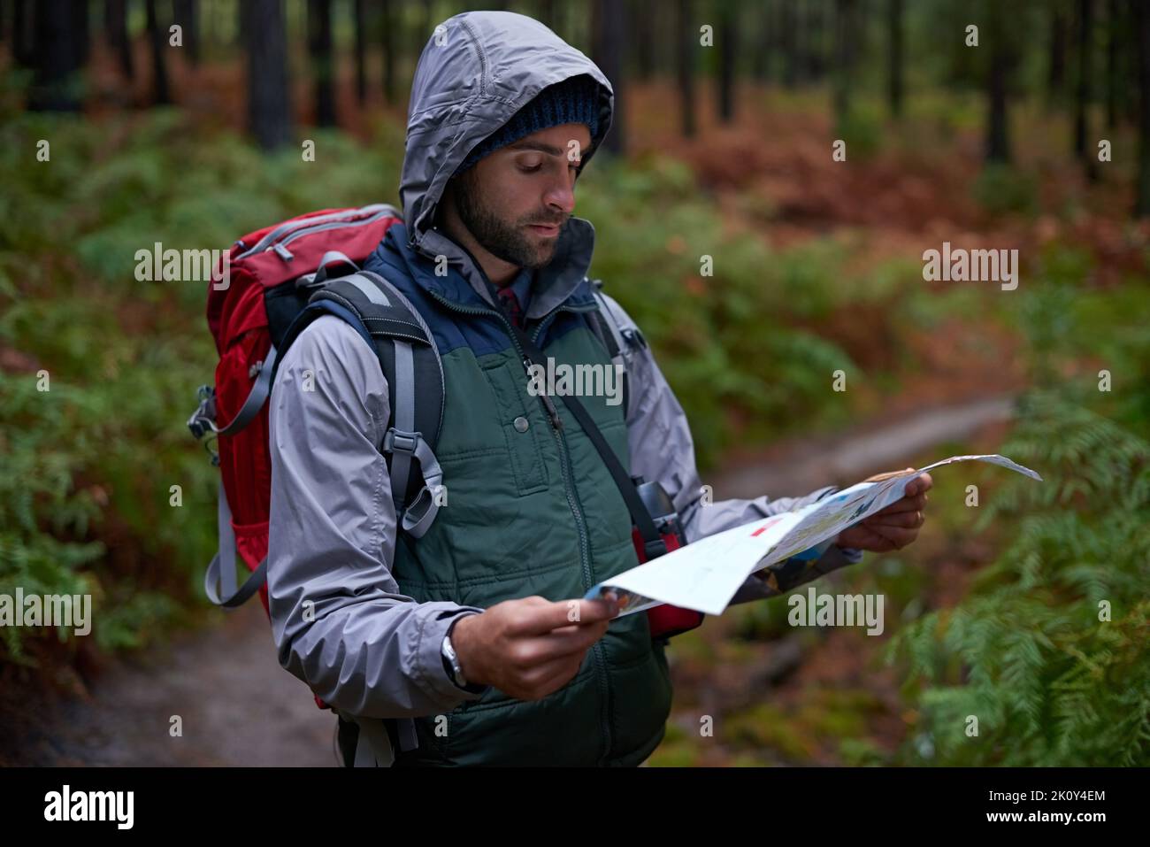 Hiking through natural wilderness. a man in a pine forest with a map ...