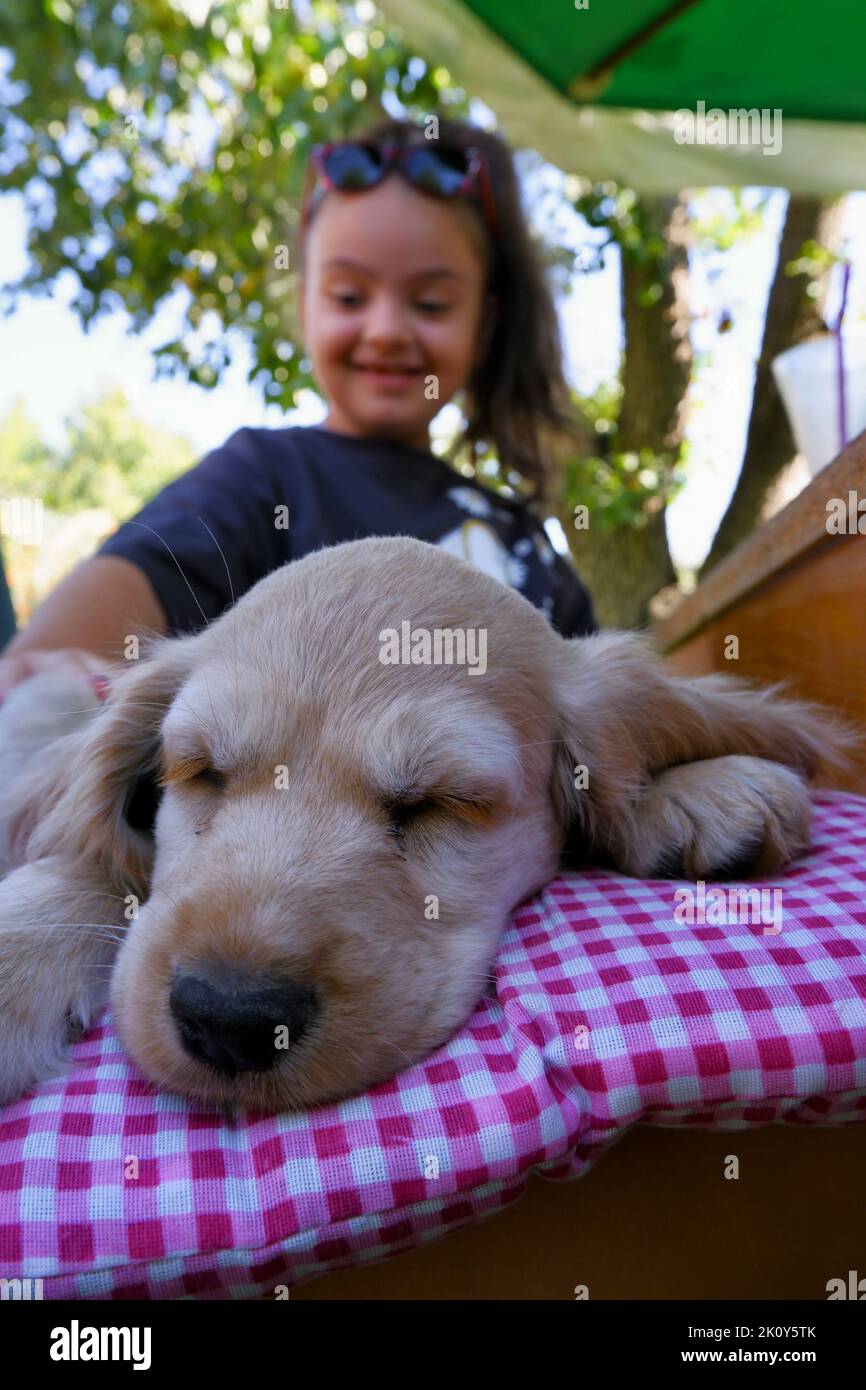 little girl and her dog Stock Photo - Alamy