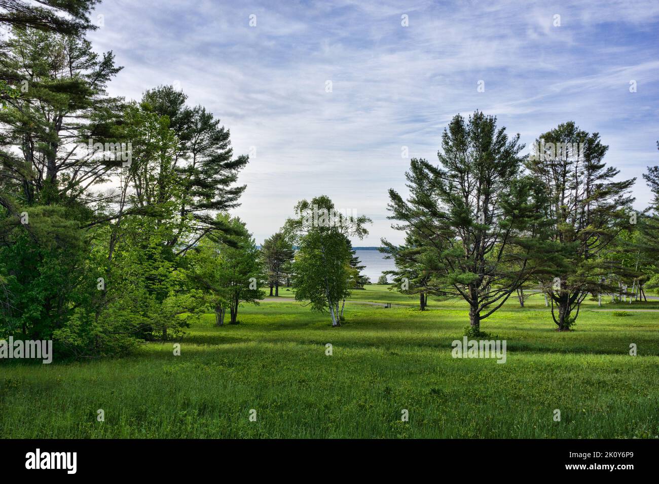View of the trees and lawn of a state park in Maine in the early ...