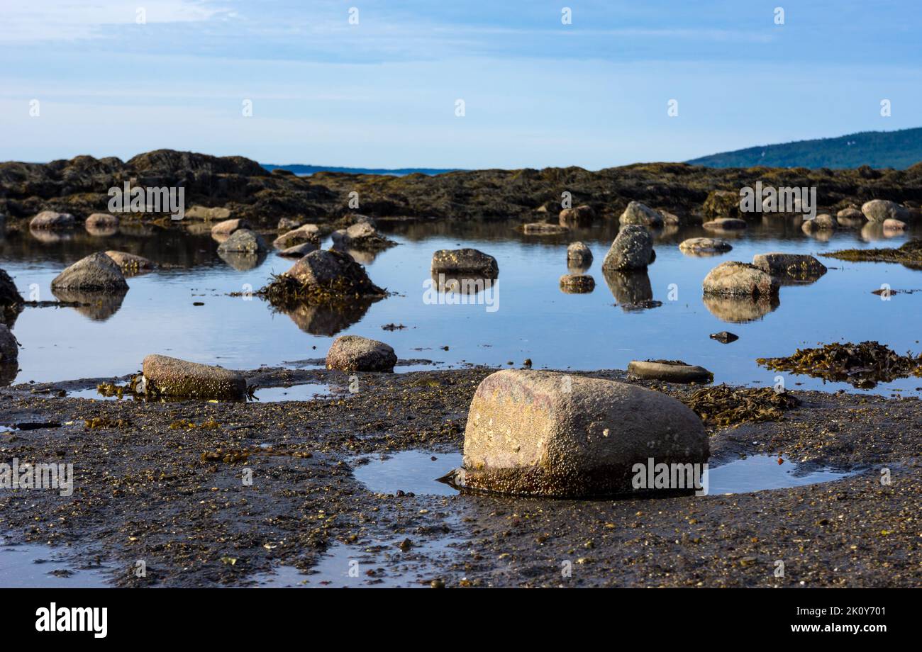 View of boulders above the water in a shallow tidal pool in the early ...