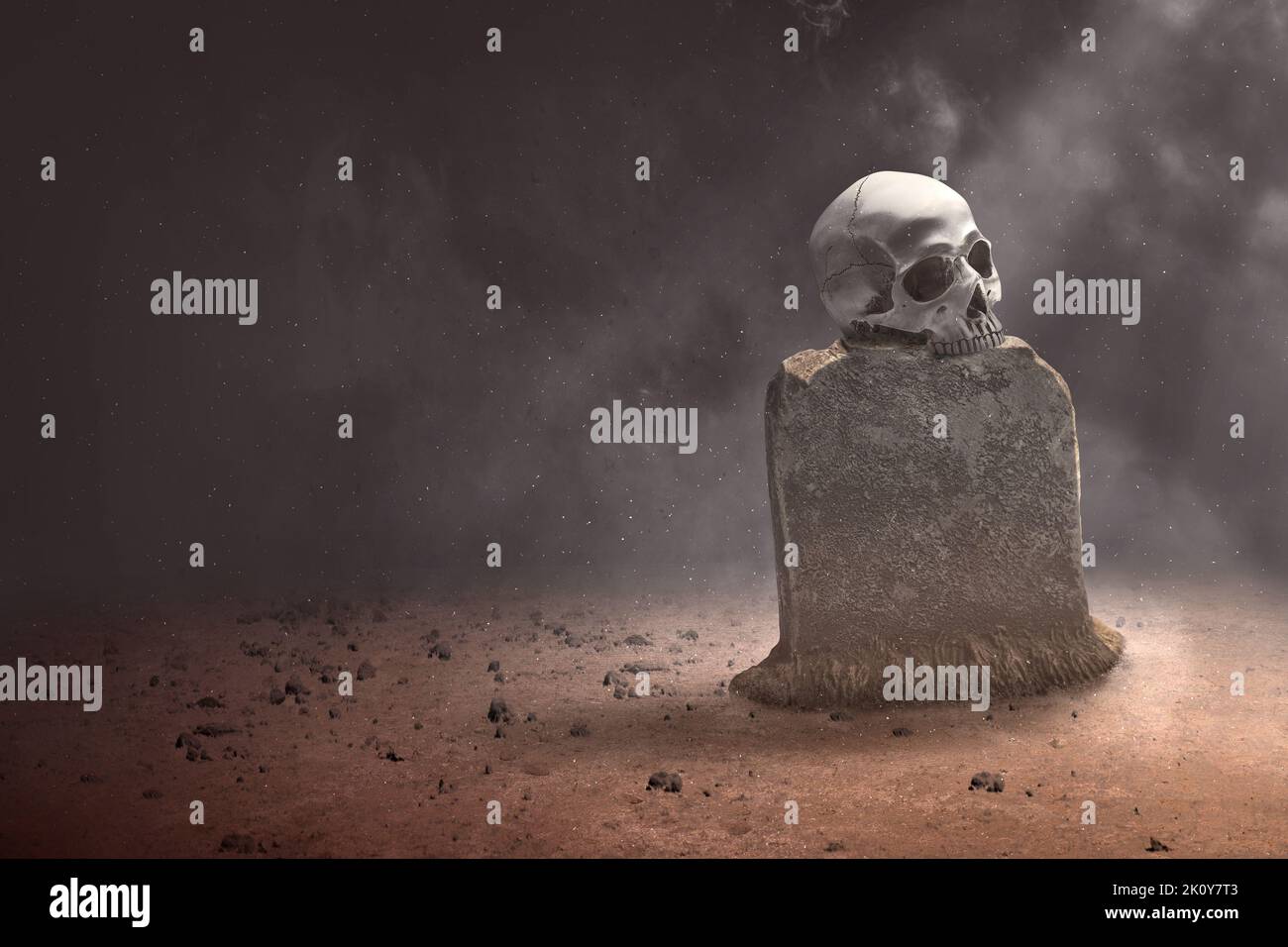 Human skull on the graveyard with the dark background Stock Photo - Alamy